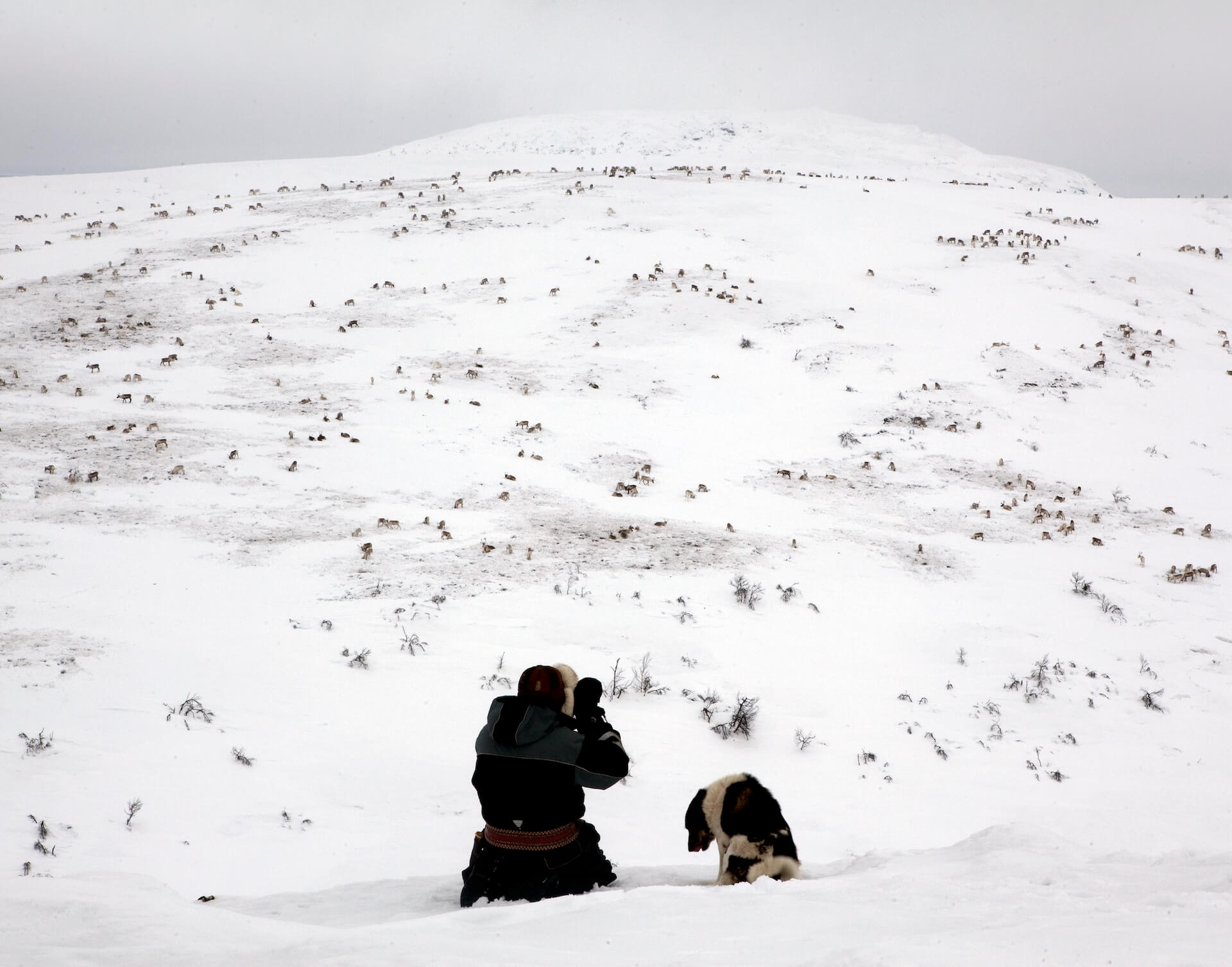 #18: Living with Sami Reindeer Herders – with Erika Larsen - Unfolding Maps