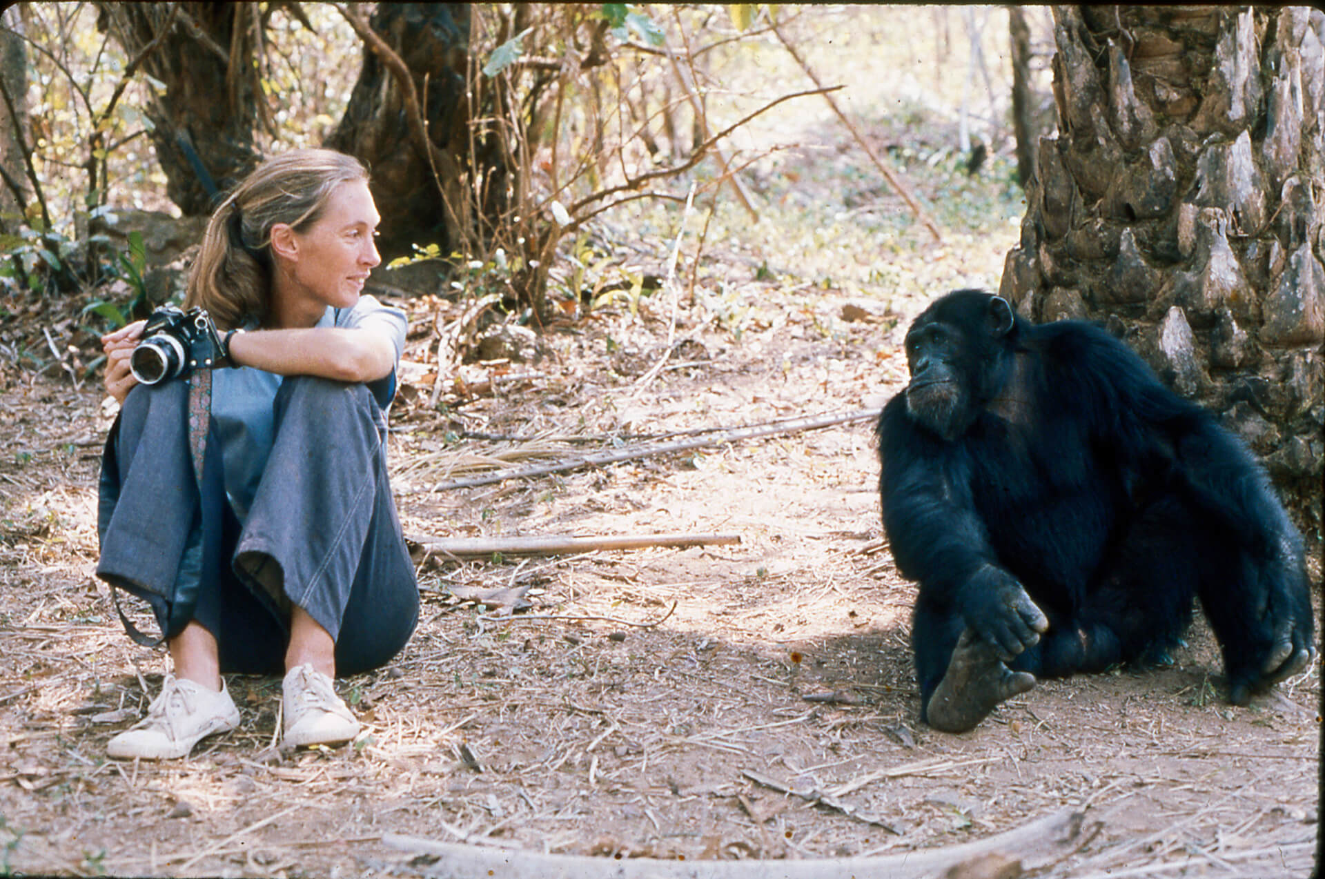 #24: Hope for our Planet – with Dr. Jane Goodall - Unfolding Maps